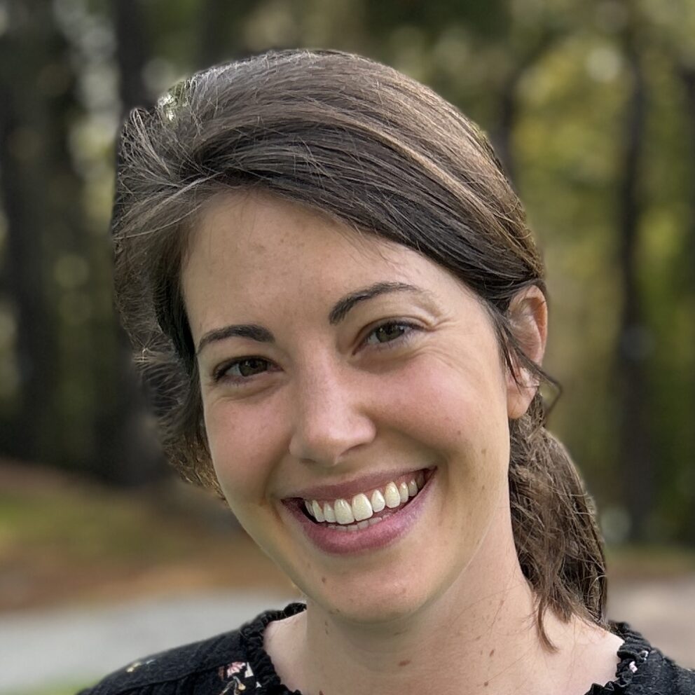 Community Systems Statewide Supports Team | Partner Plan Act